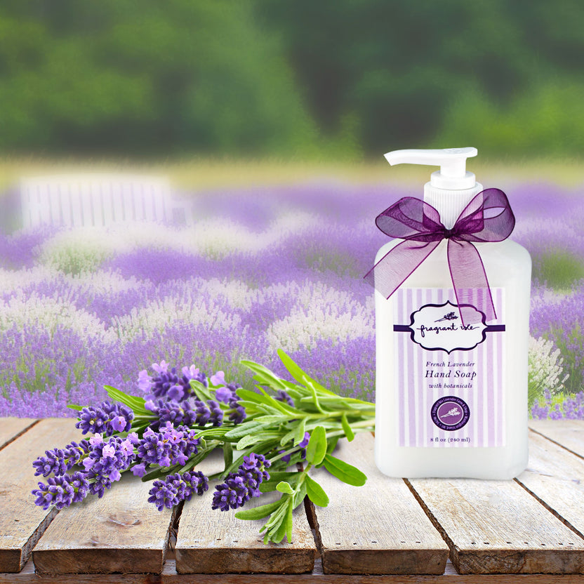 Lavender Liquid Hand Soap - 8 oz – Fragrant Isle Lavender Farm & Shop